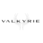 Valkyrie to Make History with First-Ever Knowledge Graph Database on ...